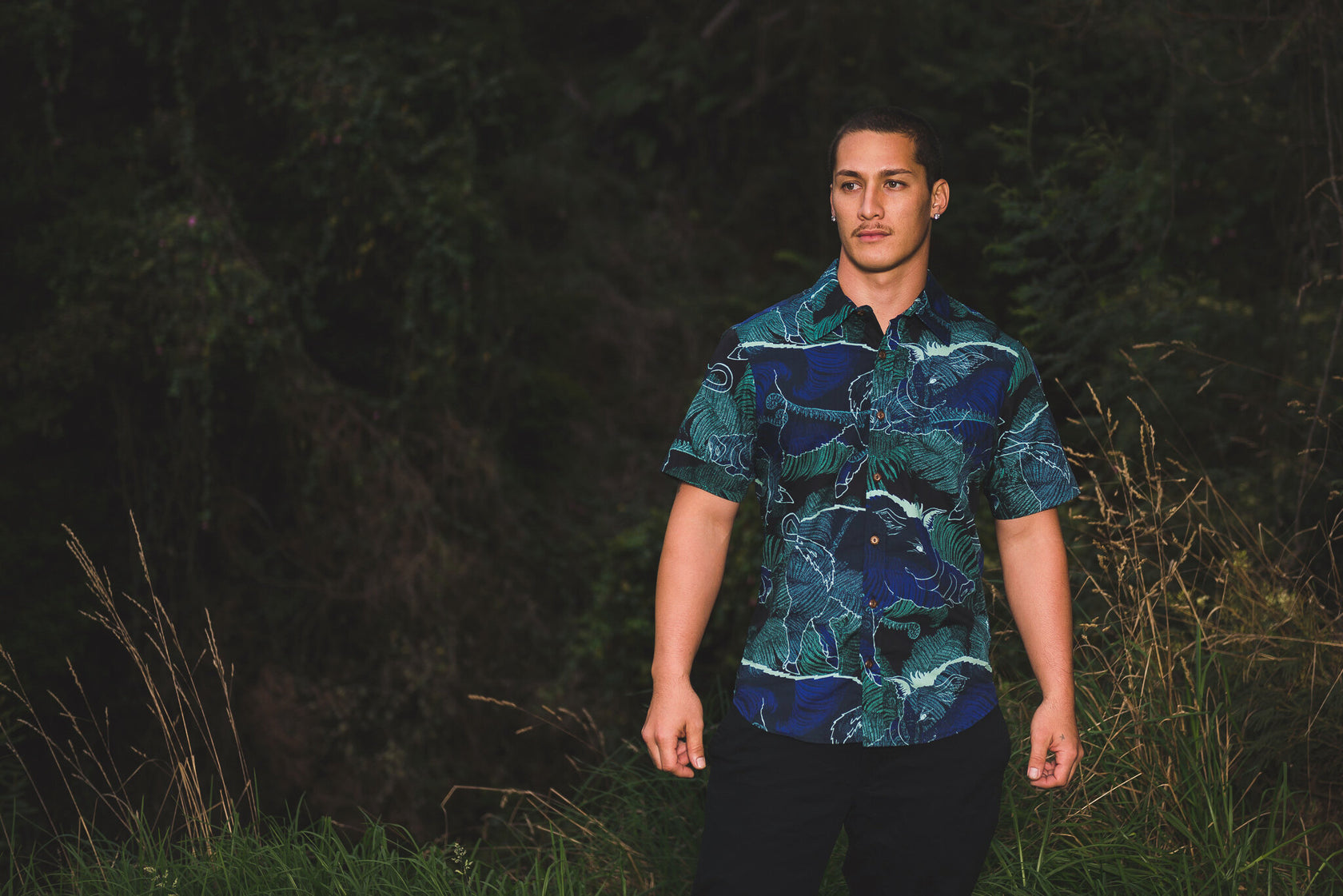 Kamapua'a Blue Hawaiian Legend Aloha Shirt – David Shepard Hawaiʻi