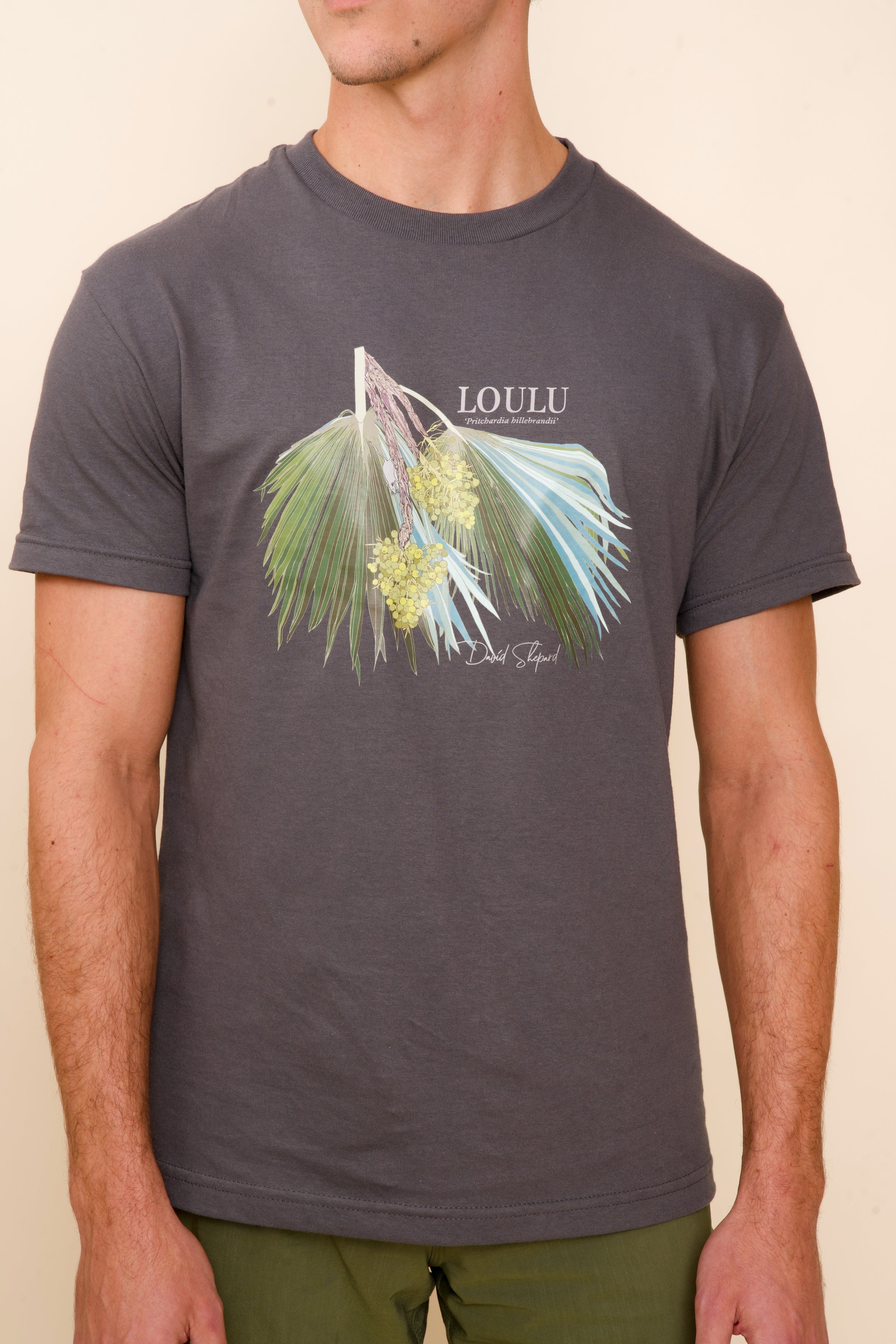 Shop David Shepard Hawaiʻi T-Shirts
