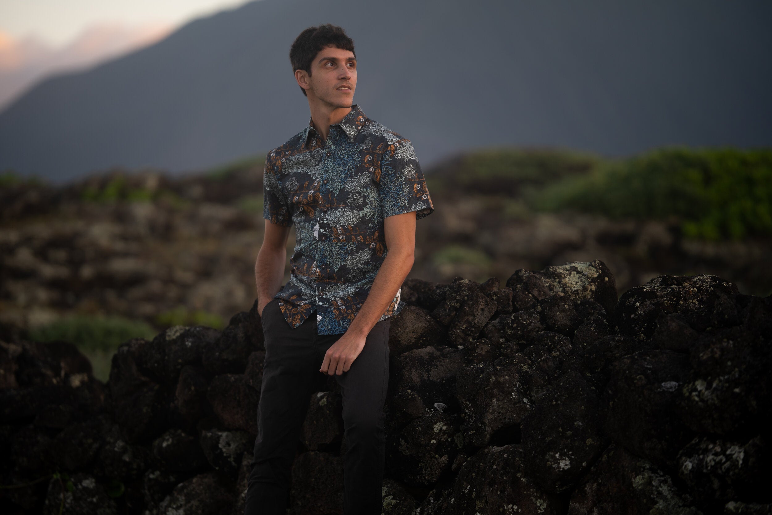 David Shepard Hawaii - Modern Hawaiian Print Clothing – David Shepard ...