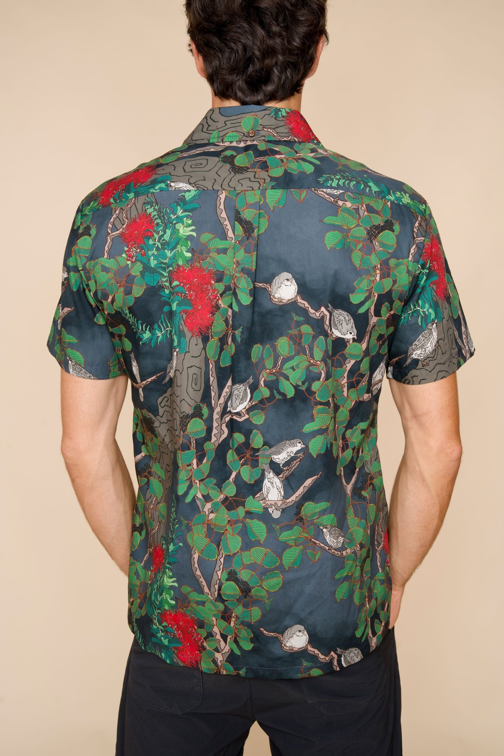 Men's Hawaiian Shirts & Men's Casual Dress Shirts by David Shepard ...